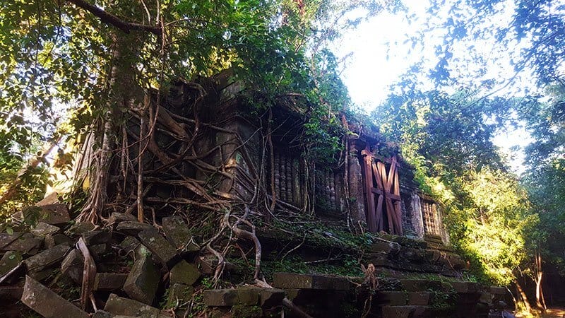 Beng Melea temple near Siem Reap a wonder to behold